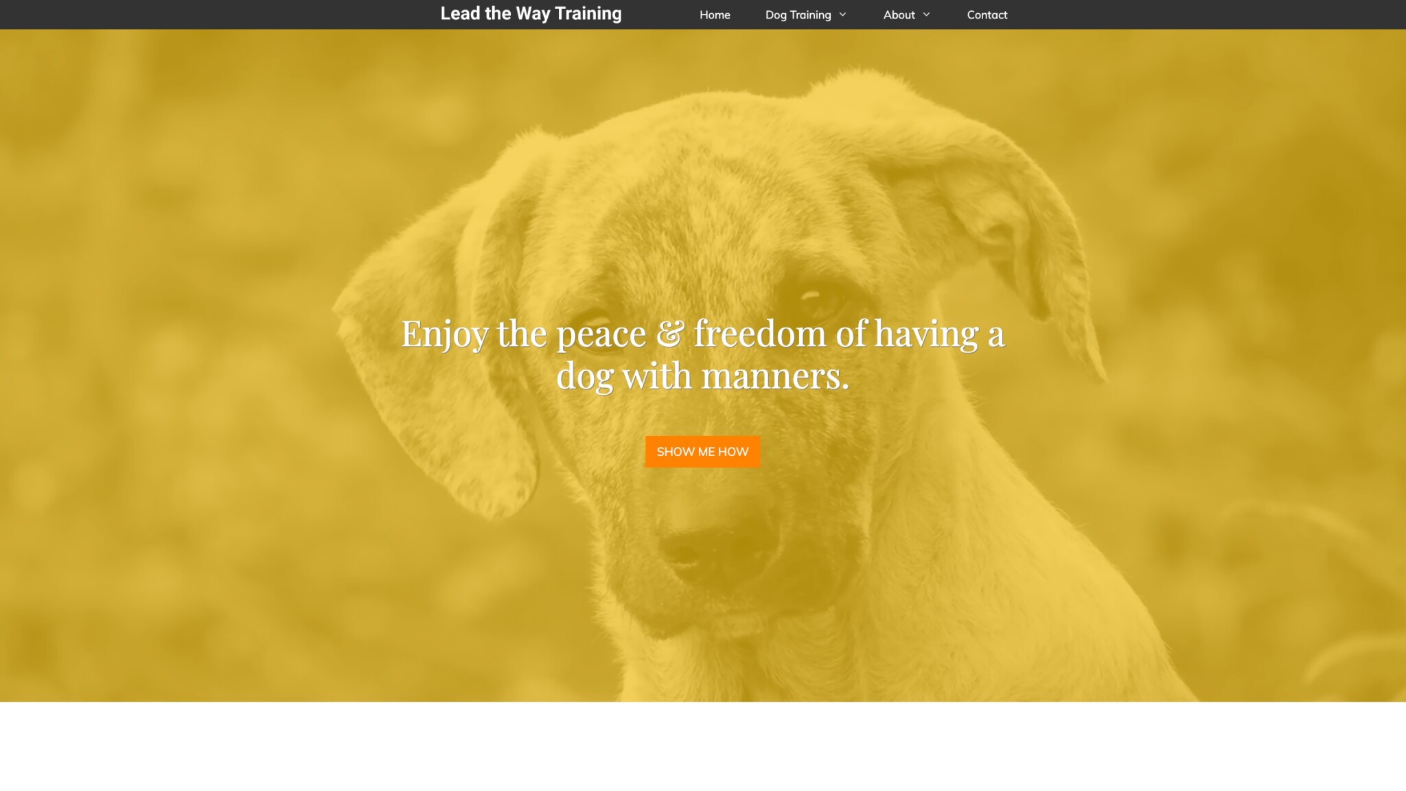 WordPress Site Redesign for Pro Dog Trainers - A Fearless Venture